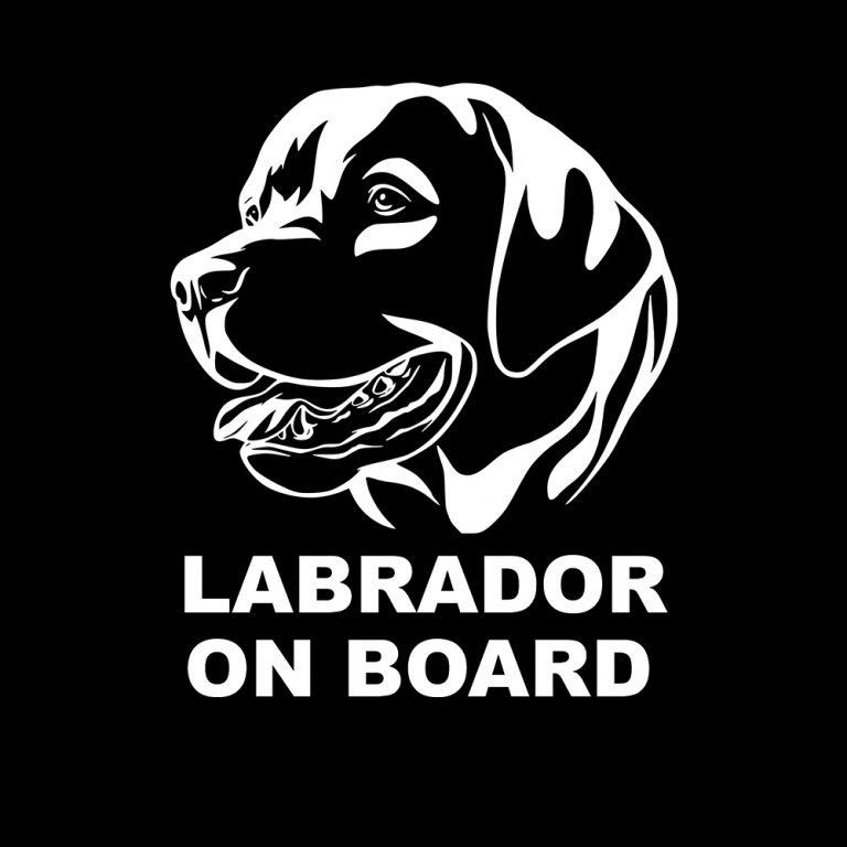 Sticker Auto Decorativ, Dog On Board, Alb/Negru, 15×11 cm - Stickerino